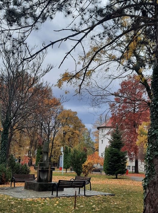 University of Oradea - GMEG EDUCATION